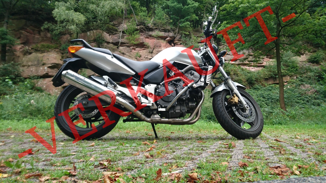 Heidrun – Grumpy Gorilla